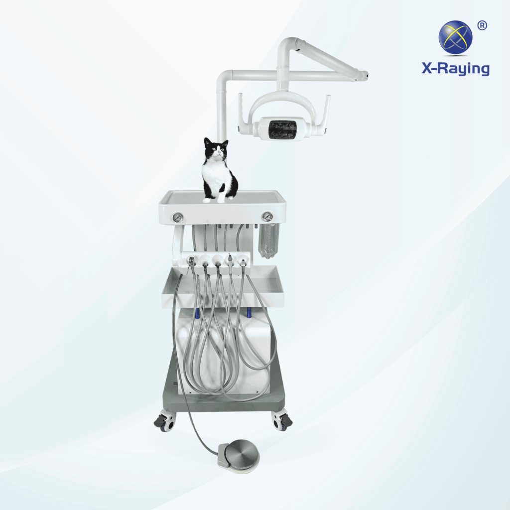 GM-019 Mobile dental Unit - x-raying